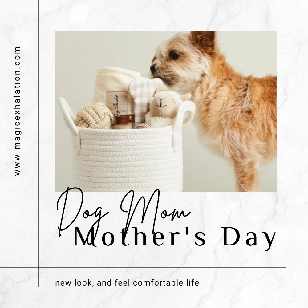 Celebrate National Dog Mom Mother’s Day – Top 5 Best Gifts for Puppy ...