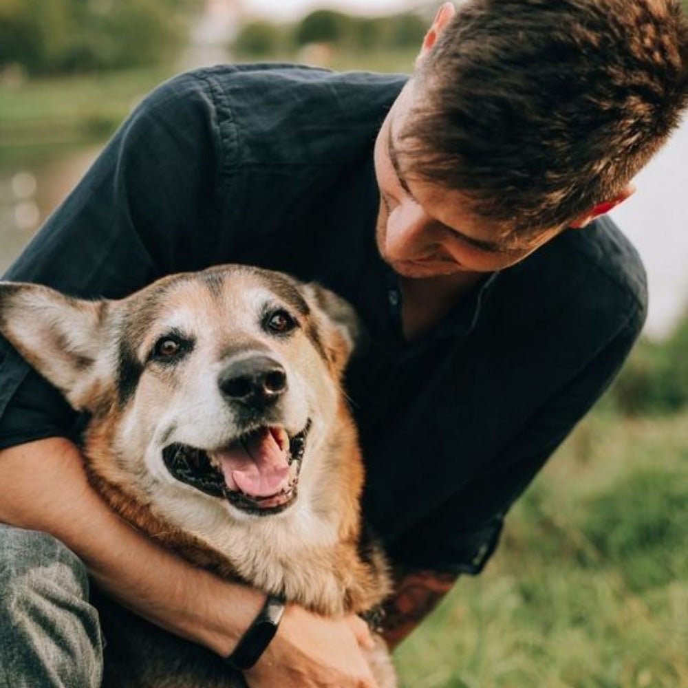 Top 15+ Great Happy Fathers Day Images with Dogs to Celebrate Dog Dad ...