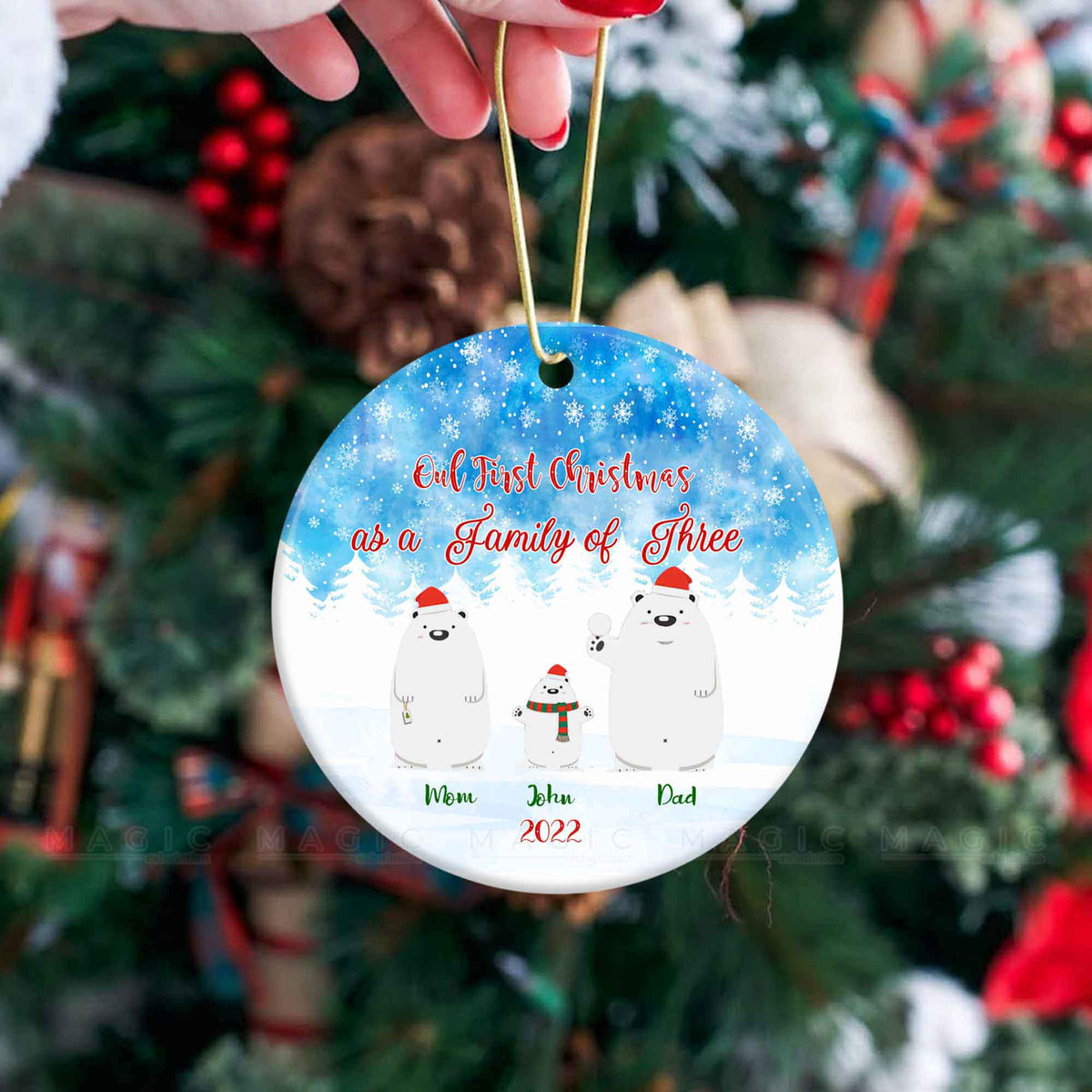 Our First Christmas, Custom Family Name Ridiculous Christmas Ornaments ...
